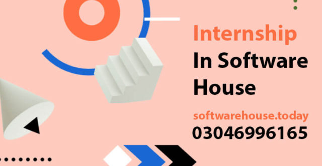 internship in software house - SoftWare House