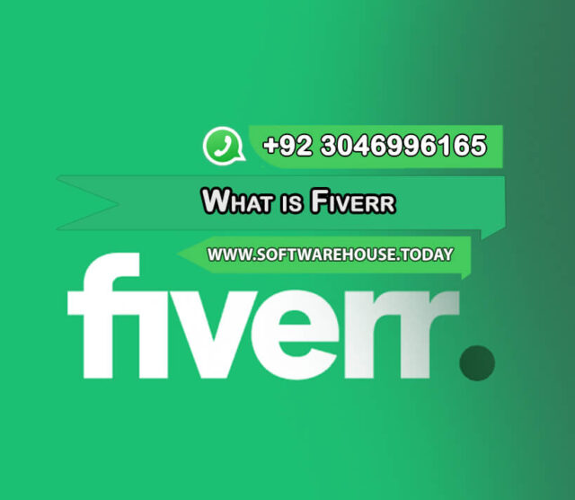 Best Fiverr Developer to Hire for Your Next Project - SoftWare House