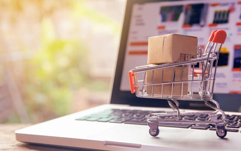 Launch Your Online Shopping Store with Our Expert Services - SoftWare House